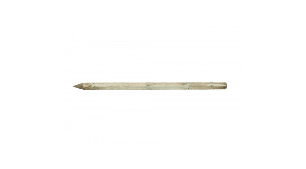 Tree Pole 160 x 8cm - Downham Garden Centre